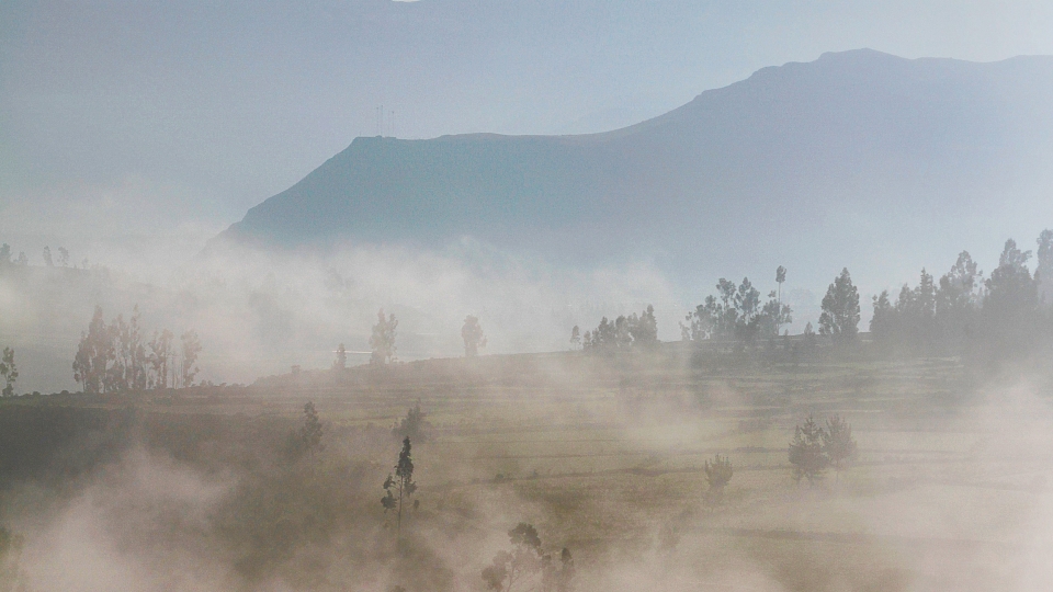 Everything to know about Particulate Matter (PM) - Breeze Technologies